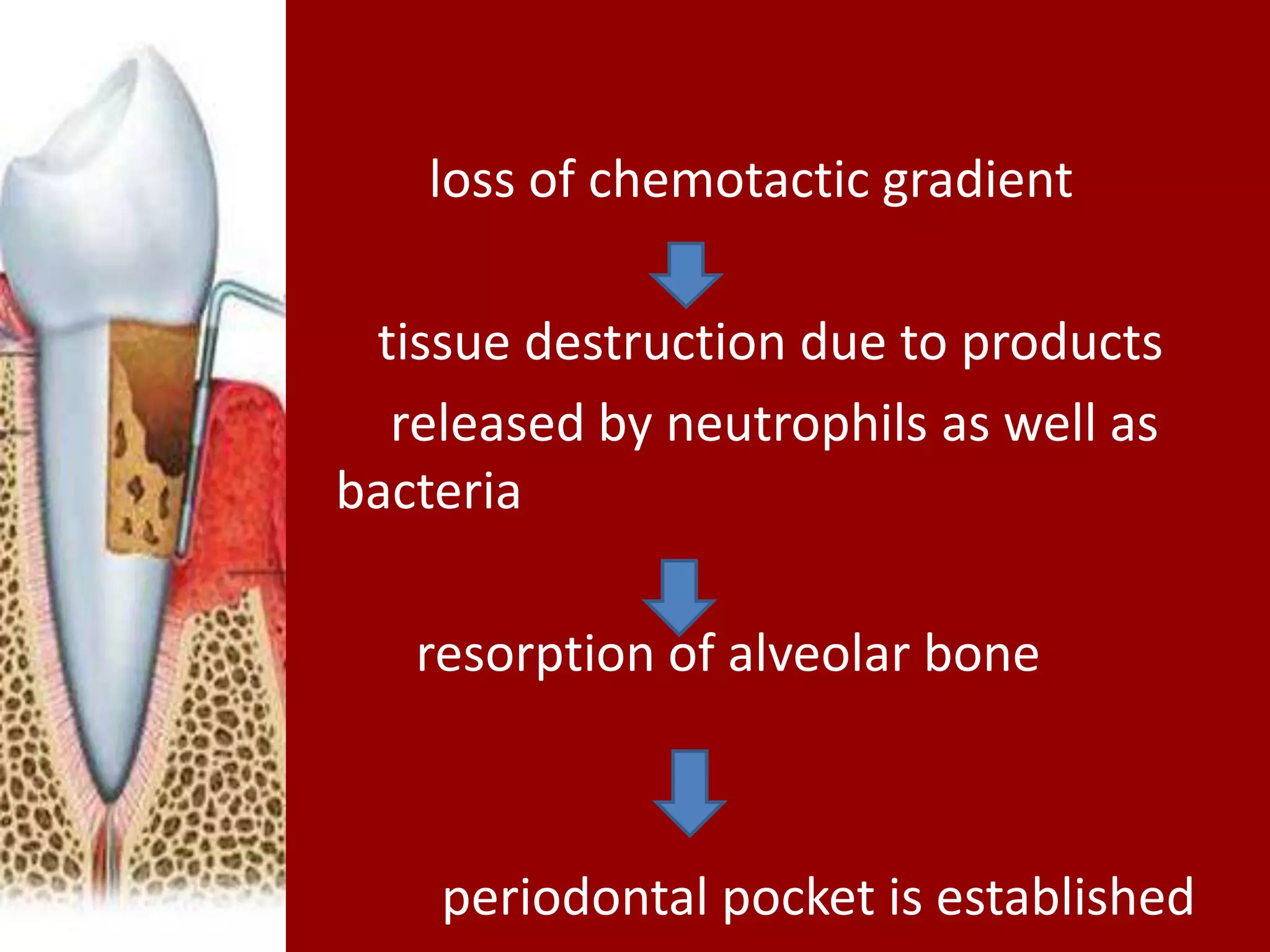 Periodontal Pockets | PPTX