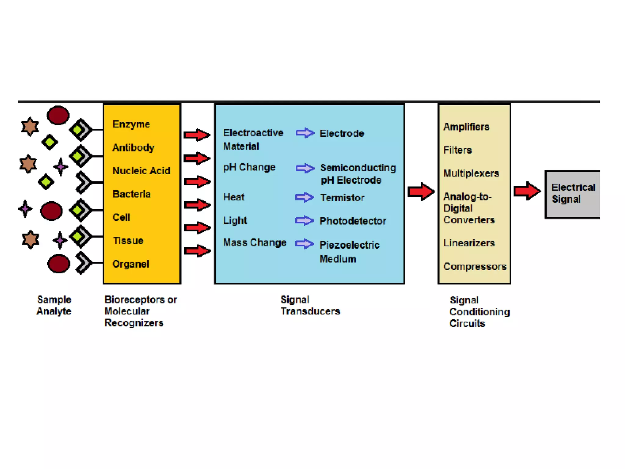Point of care testing ( POCT) | PDF