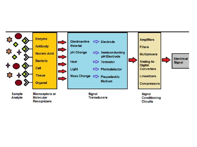 Point of care testing ( POCT) | PDF | Medical Tests | Medical Health