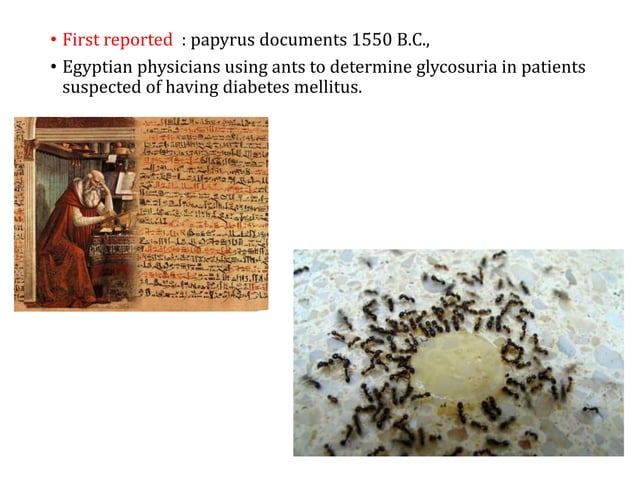 Point of care testing ( POCT) | PDF | Medical Tests | Medical Health