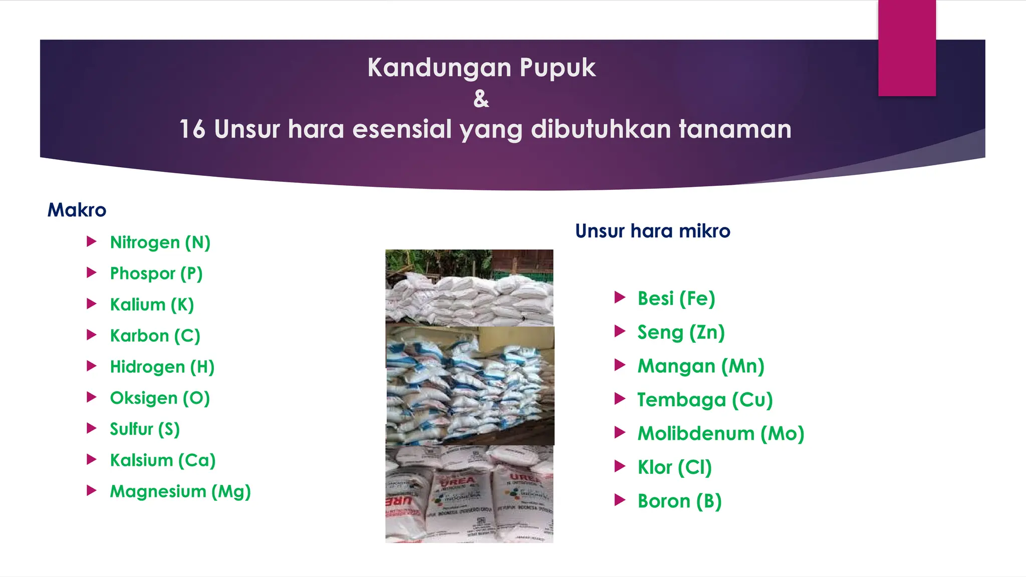 POC tematik tentang pemupukan dan pembuatan poc.pptx