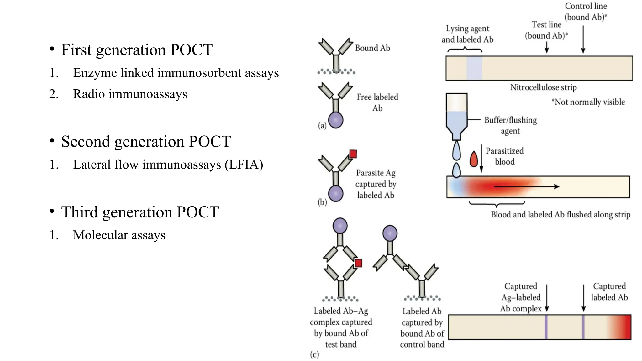 POCT in parasitology. .pptx | Infectious Diseases | Diseases and Conditions