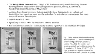 POCT in parasitology. .pptx