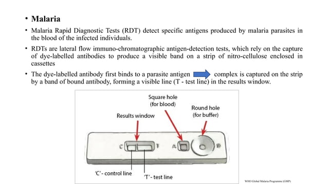 POCT in parasitology. .pptx | Infectious Diseases | Diseases and Conditions