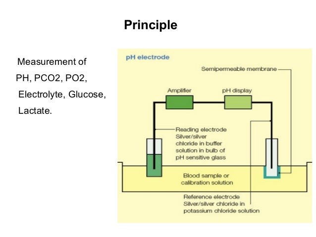 Point of care testing