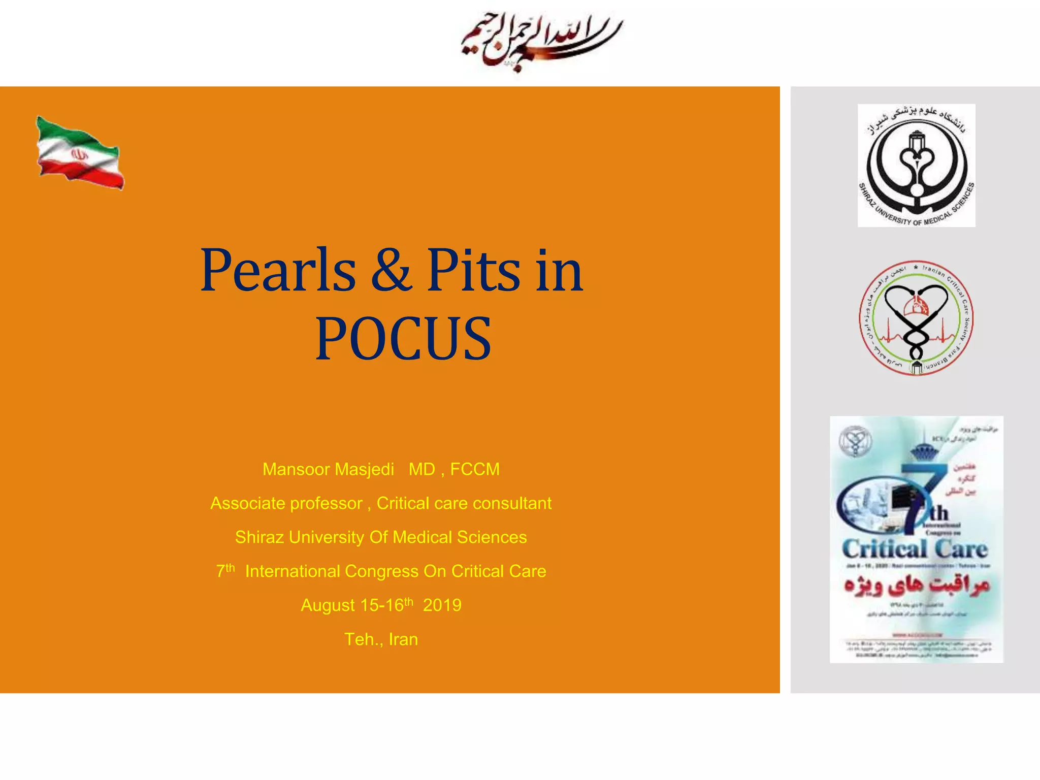 POCUS in critical care Jan 8th 2020 Teh Iran | PPTX