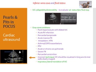 POCUS in critical care Jan 8th 2020 Teh Iran | PPTX
