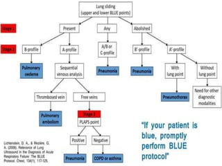 APPROACH TO POCUS IN ACUTE RESPIRATORY FAILURE.pptx