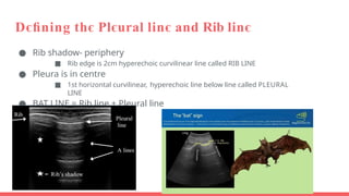 POCUS lung ultrasound (2).pptx ultrasound | PPTX