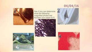 Problem of the day - April | PPT