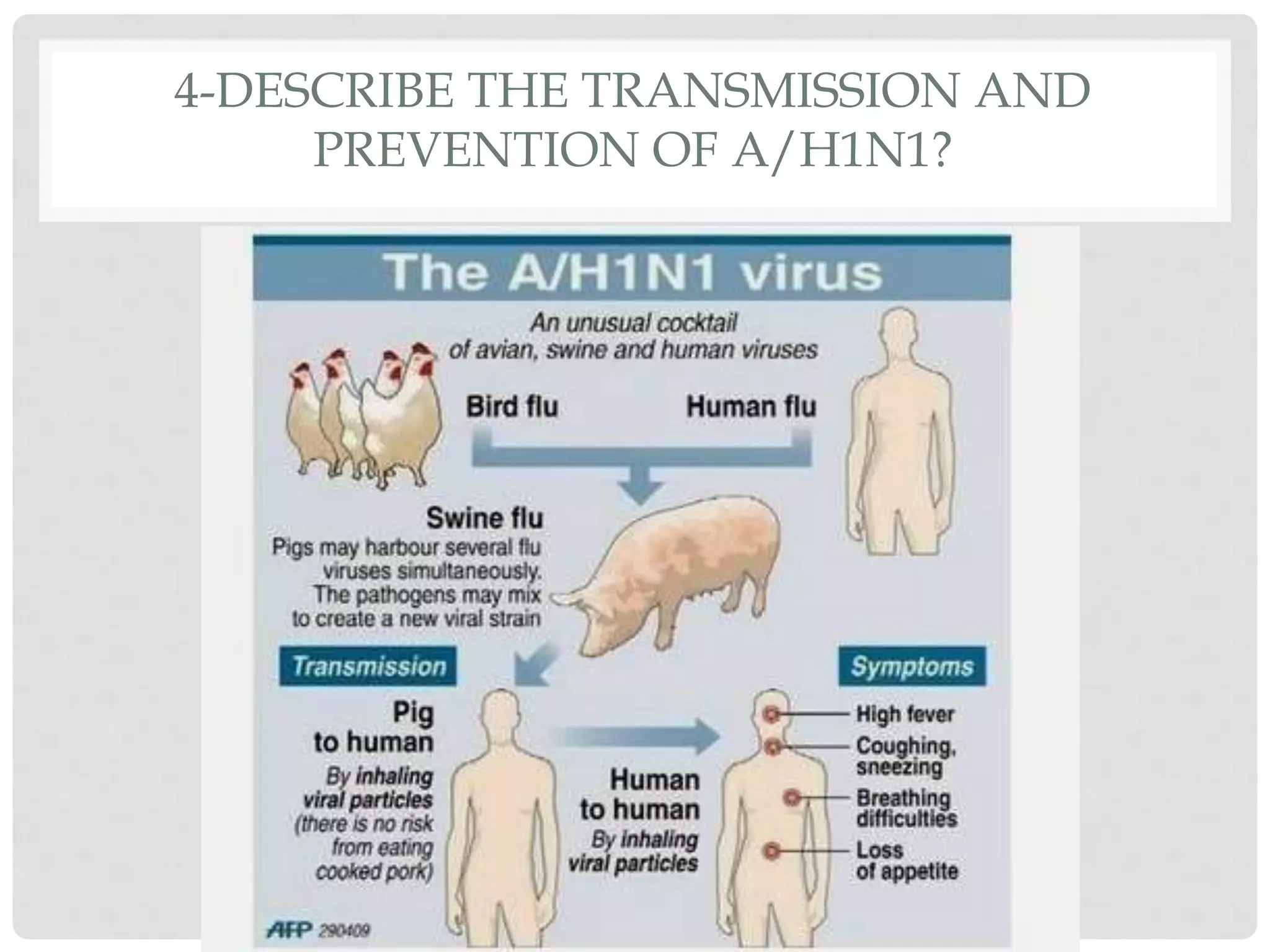 Pod1 –pbl4 : the morphology and structure of virus A/H1N1, the clinical ...