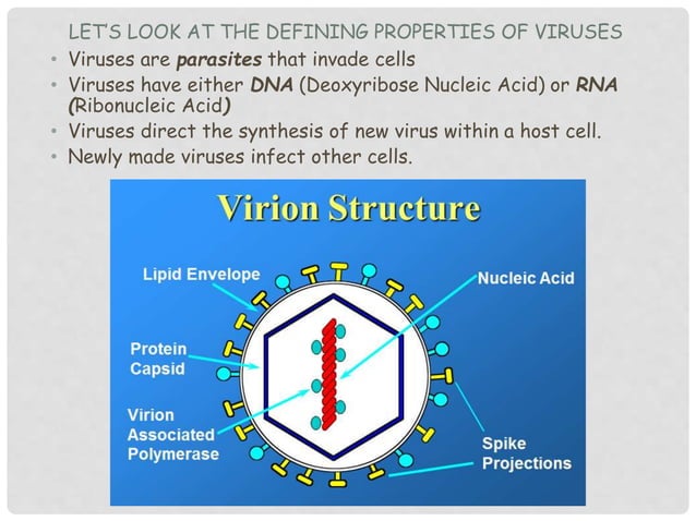 Pod1 –pbl4 : the morphology and structure of virus A/H1N1, the clinical ...
