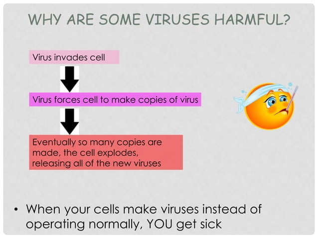 Pod1 –pbl4 : the morphology and structure of virus A/H1N1, the clinical ...