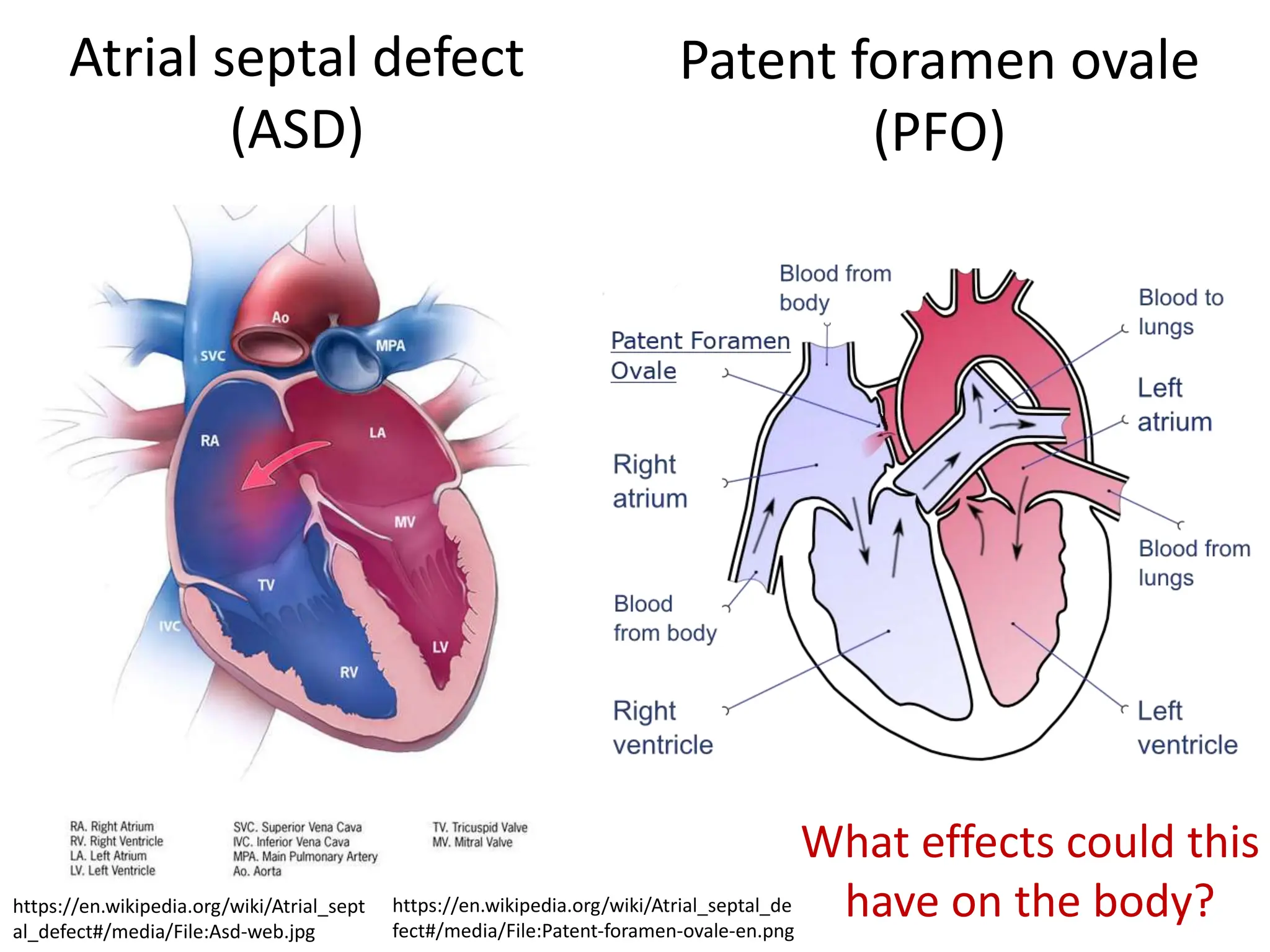 PodCase Biomaterials Types and Properties.pptx