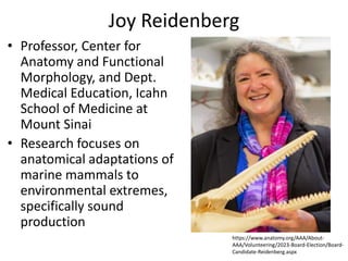 PodCase Heart Anatomy.pptx