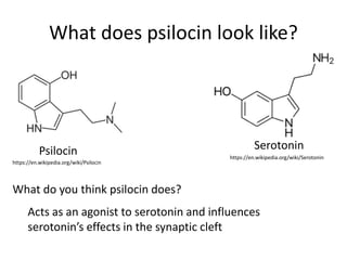 PodCase Synapses.pptx
