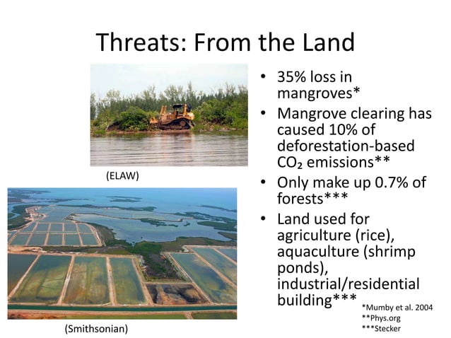 Mangroves and Climate Change | PPTX