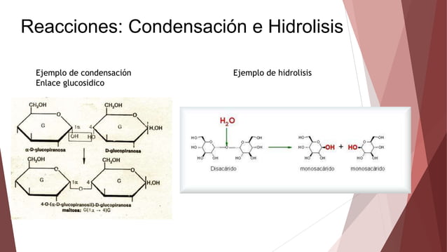 practica 7 Poder reductor, formación de osazonas y síntesis de ...