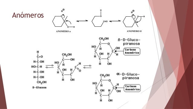 practica 7 Poder reductor, formación de osazonas y síntesis de pentaa…