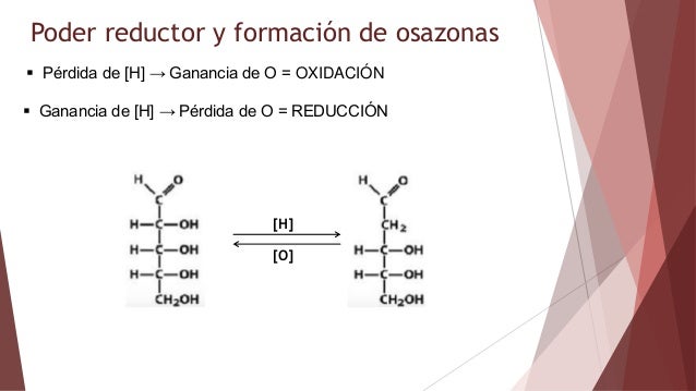 practica 7 Poder reductor, formación de osazonas y síntesis de pentaa…