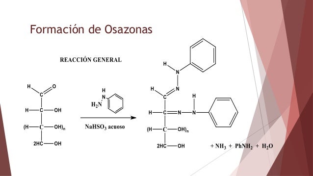 practica 7 Poder reductor, formación de osazonas y síntesis de pentaa…