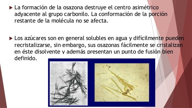 practica 7 Poder reductor, formación de osazonas y síntesis de pentaa…