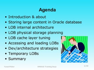 Oracle LOB Internals and Performance Tuning | PDF