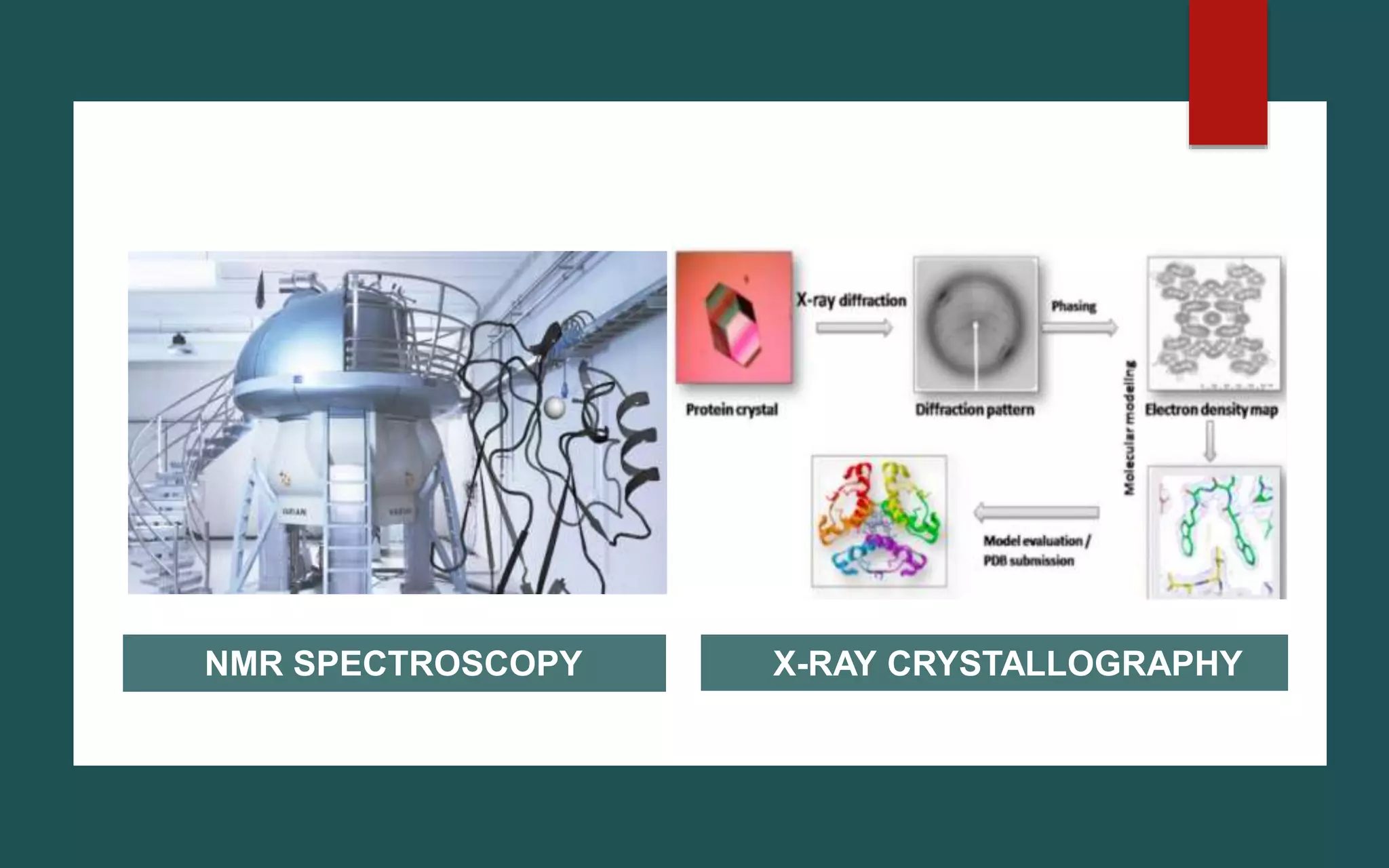 STRUCTURE BASED DRUG DESIGN.pptx