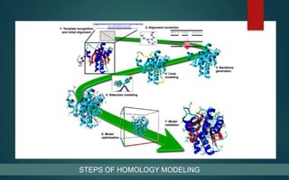 STRUCTURE BASED DRUG DESIGN.pptx