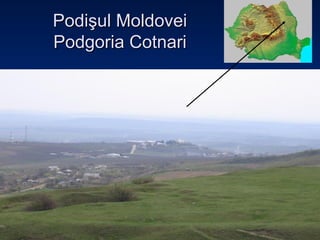 Podisul moldovei | PPT
