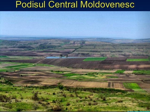 Podisul moldovei