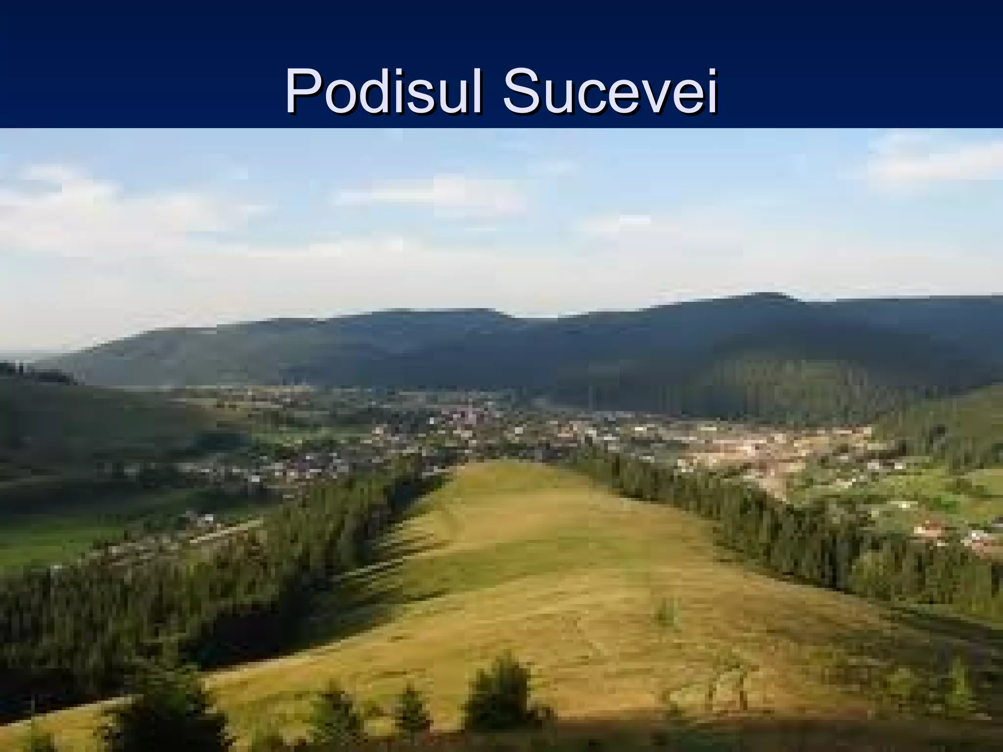 Podisul moldovei | PPT