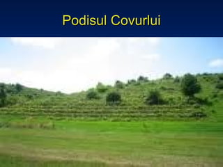Podisul moldovei | PPT