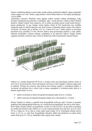 Podizanje plant aze maline 1 | DOC