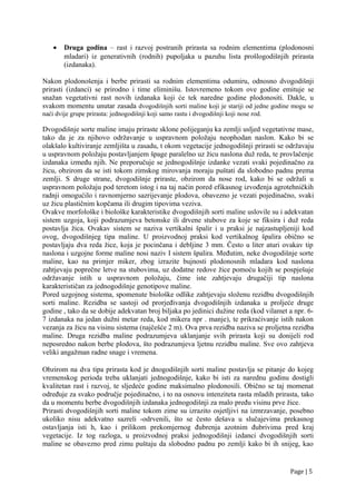 Podizanje plant aze maline 1 | PDF