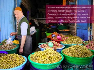 Podnebie afriky | PDF