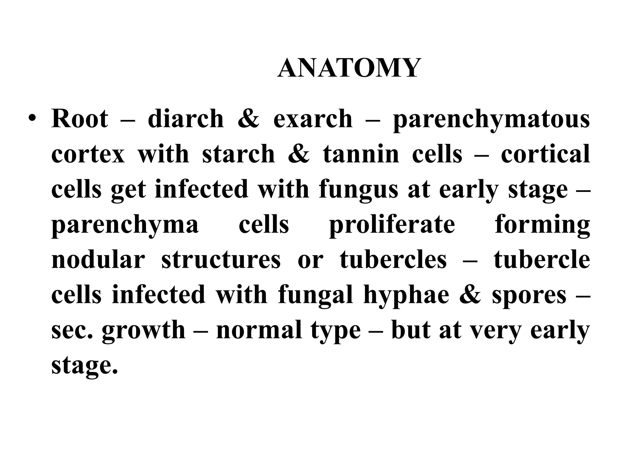 PODOCARPUS...........................pptx