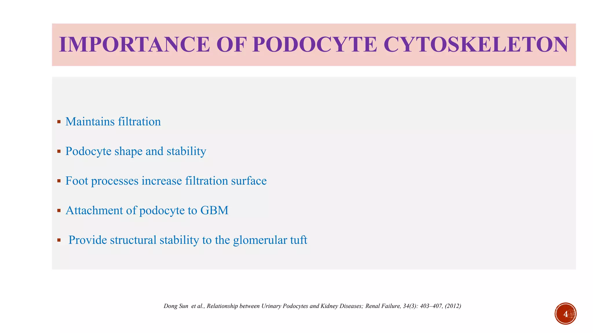 Podocyte mediated kidney diseases(diabetic nephropathy) | PPTX