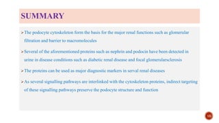 Podocyte mediated kidney diseases(diabetic nephropathy) | PPT
