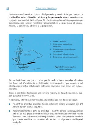 Podología Geriátrica. | PDF