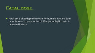Podophyllin- cytotoxic drug used in treatment of anogenital wart | PPTX