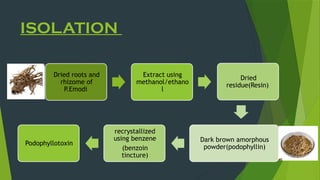 Podophyllin- cytotoxic drug used in treatment of anogenital wart | PPTX