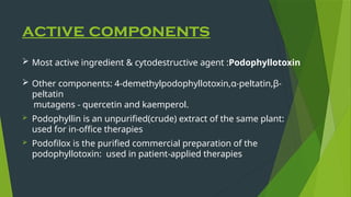 Podophyllin- cytotoxic drug used in treatment of anogenital wart | PPTX
