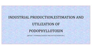 INDUSTRIAL PRODUCTION,ESTIMATION AND UTILIZATION OF PODOPHYLLOTOXIN | PPTX