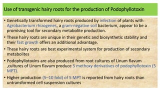 INDUSTRIAL PRODUCTION,ESTIMATION AND UTILIZATION OF PODOPHYLLOTOXIN | PPTX