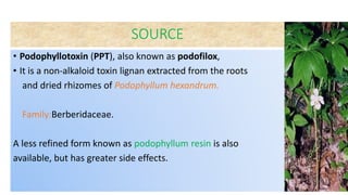 INDUSTRIAL PRODUCTION,ESTIMATION AND UTILIZATION OF PODOPHYLLOTOXIN | PPTX