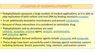 INDUSTRIAL PRODUCTION,ESTIMATION AND UTILIZATION OF PODOPHYLLOTOXIN | PPTX