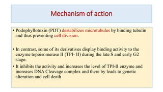 INDUSTRIAL PRODUCTION,ESTIMATION AND UTILIZATION OF PODOPHYLLOTOXIN | PPTX