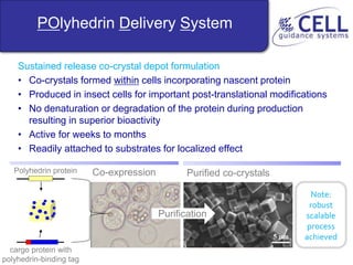 Stabilising proteins using polyhedrin crystals | PPT