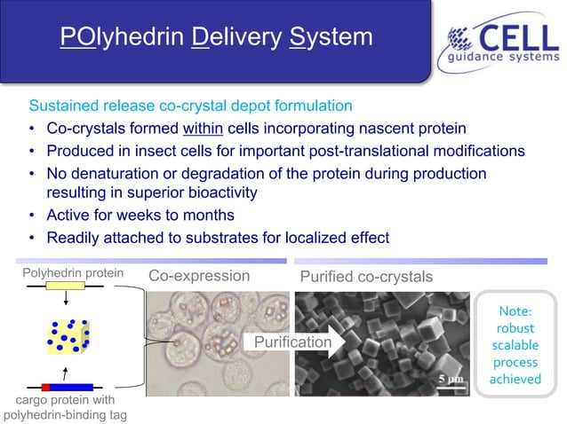 Stabilising proteins using polyhedrin crystals | PPT